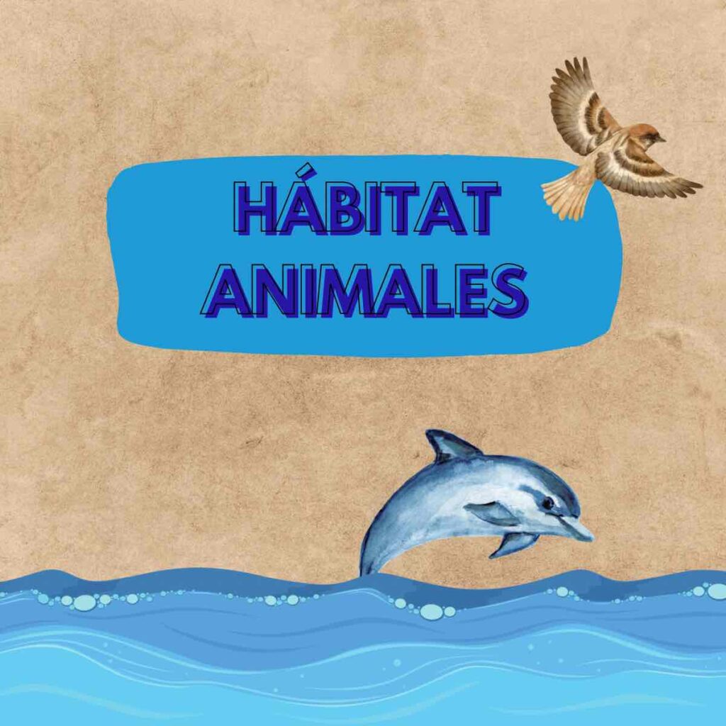 Hábitat de los animales – Ventall d'idees