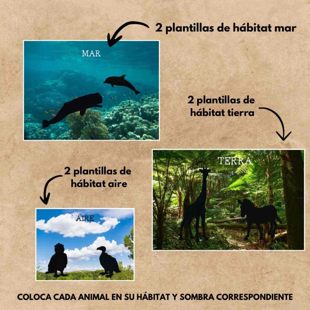 Hábitat de los animales – Ventall d'idees