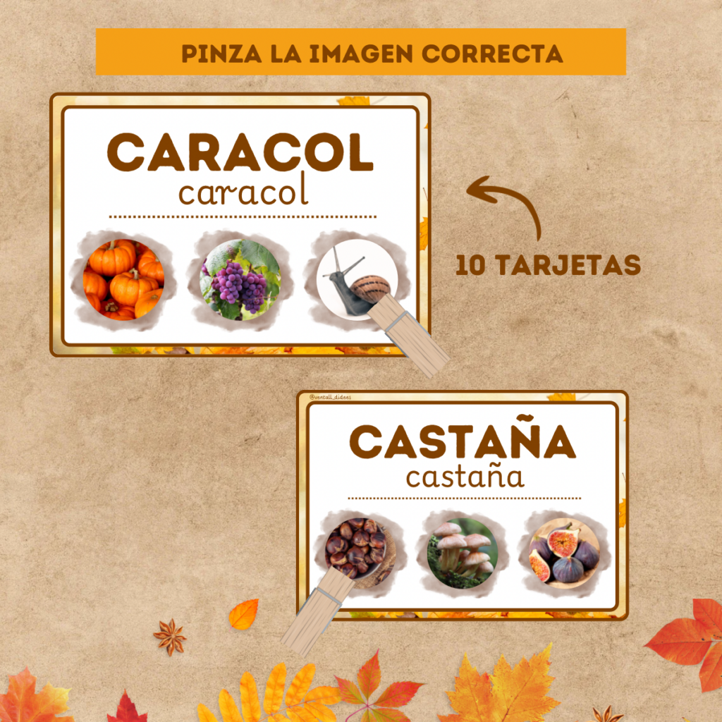 Vocabulario otoño (parte 2) – Ventall d'idees