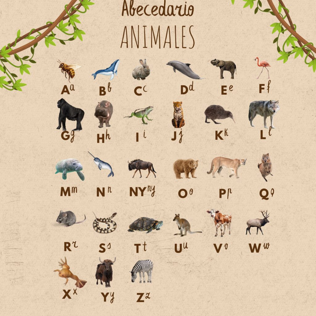 Abecedario animales – Ventall d'idees